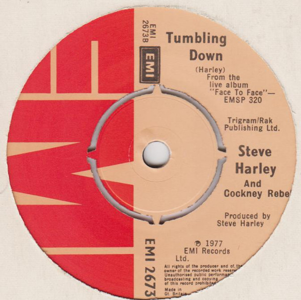 The Best Years Of Our Lives Steve Harley